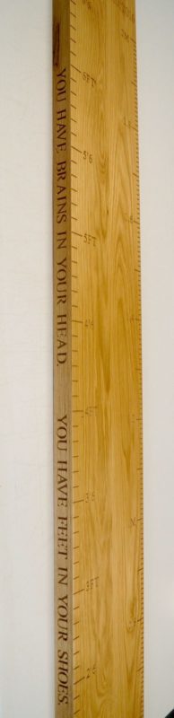 Personalised Height Chart | MakeMeSomethingSpecial.com